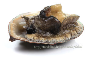 アワビ／鮑／あわびの目利きと料理：旬の魚介百科